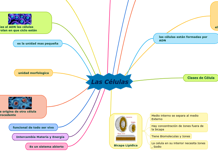Las Células - Mind Map